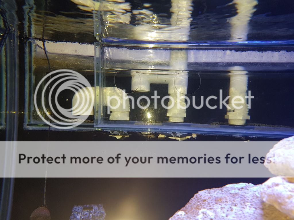 Internal or External Overflow Box? | Reef2Reef