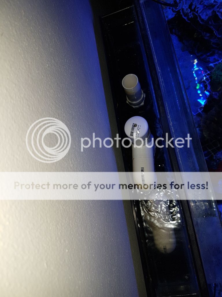 Internal or External Overflow Box? | Reef2Reef